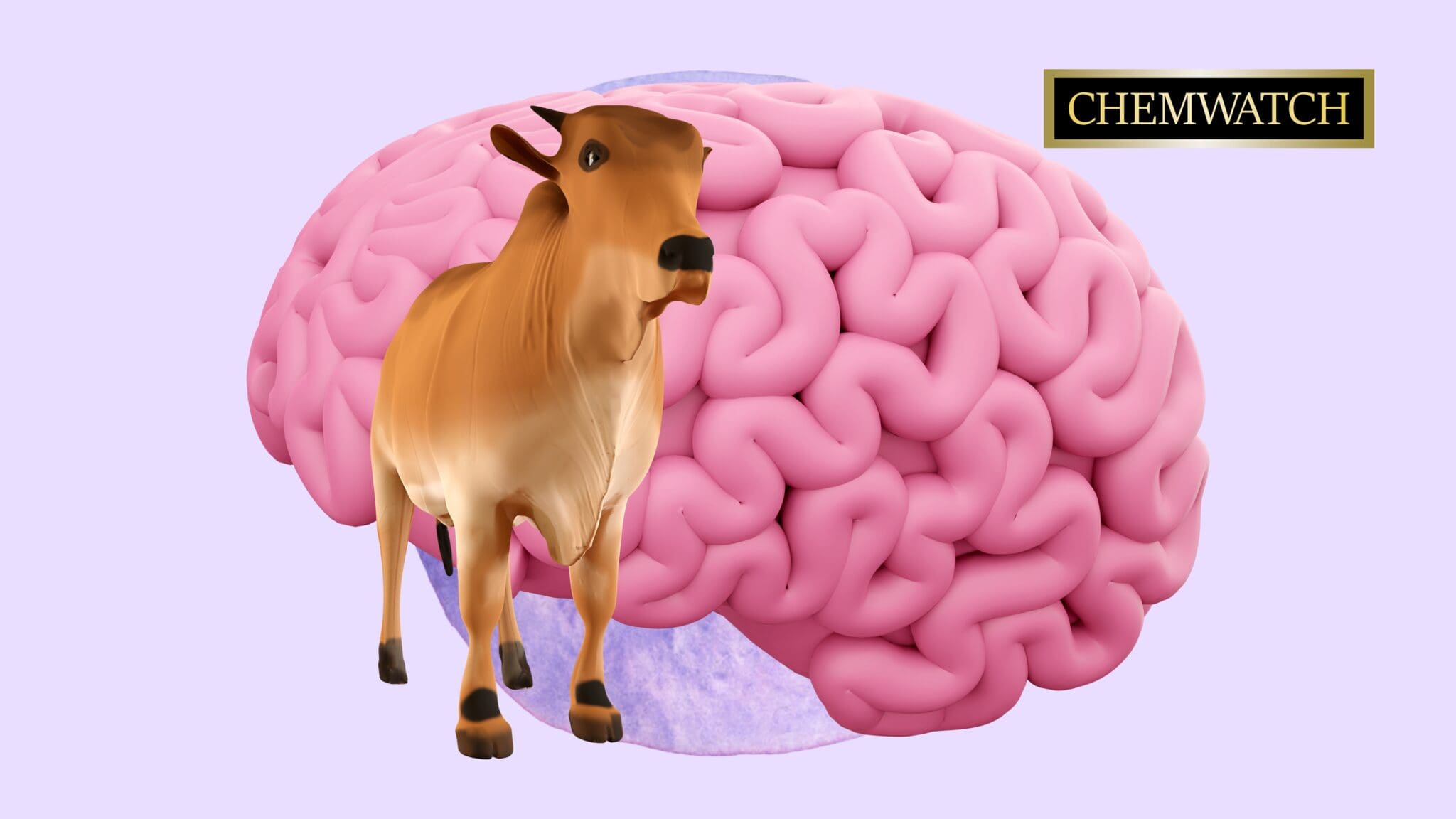 Mad Cow Disease Unmasked - Chemwatch