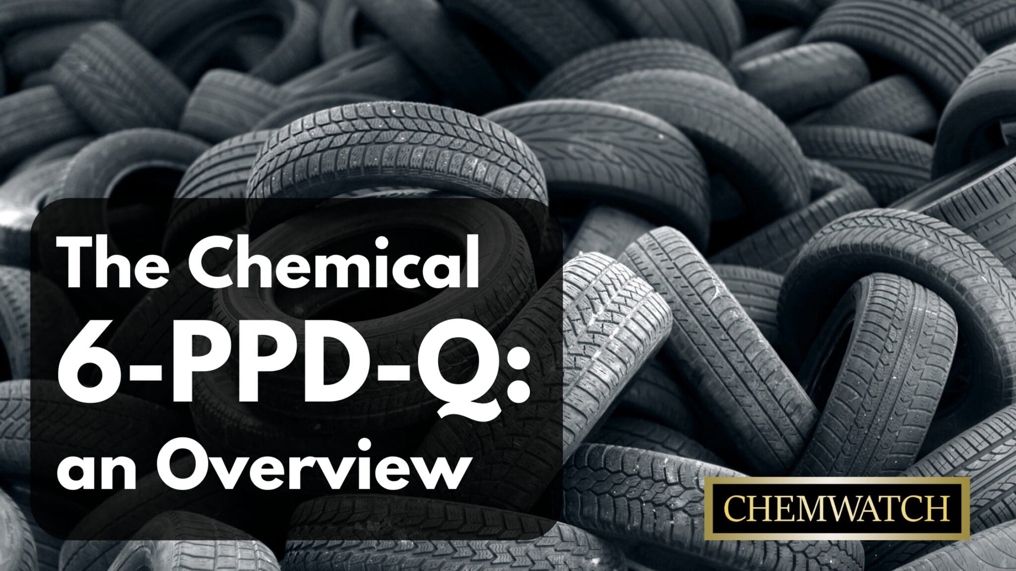 The Chemical 6-PPD-Q: an Overview - Chemwatch