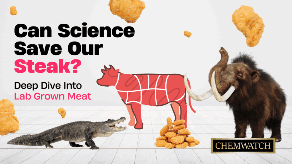 Lab-Grown Meat: The Sustainable Future of Ethical Protein - Chemwatch