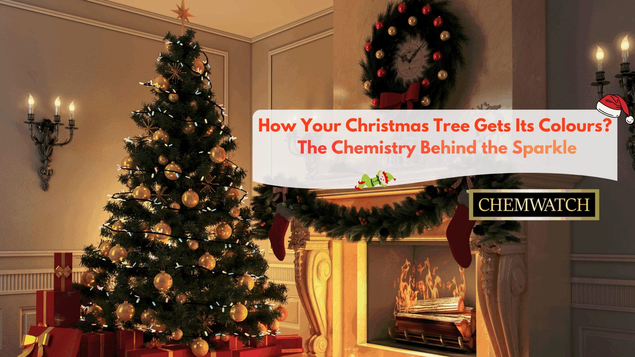 How Your Christmas Tree Gets Its Colours: The Chemistry Behind the ...