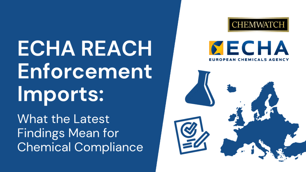 ECHA REACH Enforcement Imports: What the Latest Findings Mean for ...